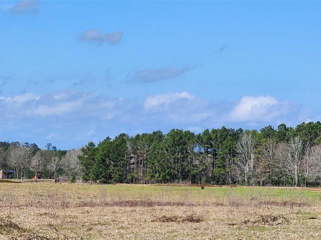 0 Pinckard Rd, Livingston, TX 77351 | MLS #47229