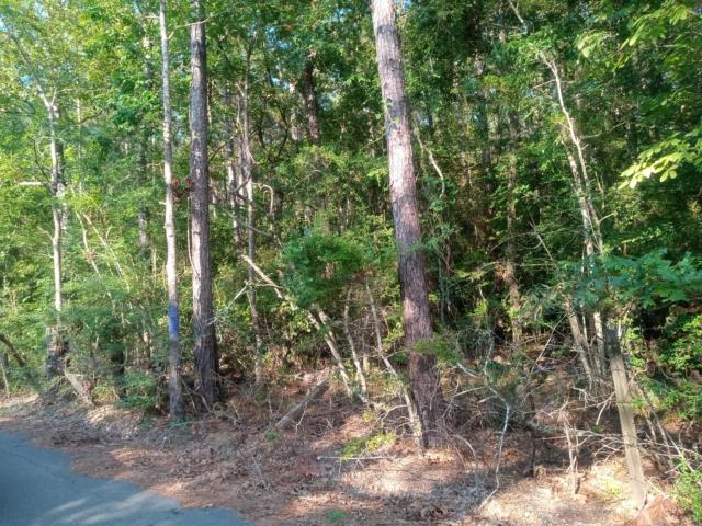 0 Piney Lane