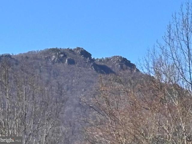 0 pine hill