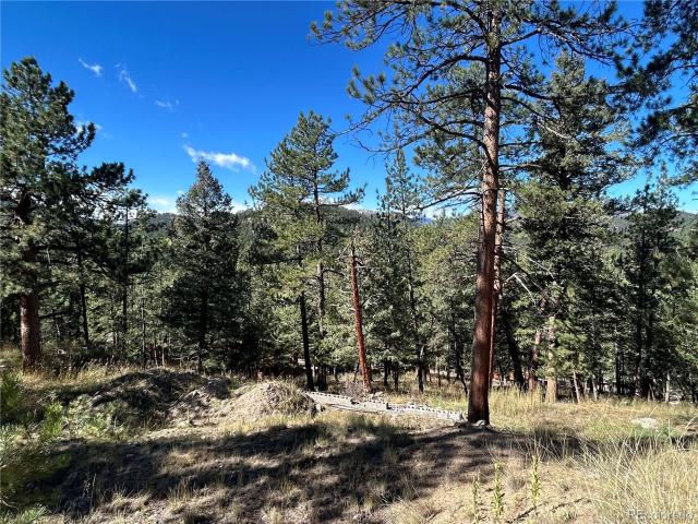 0 Pine Rd, Evergreen, CO 80439 | MLS #3384