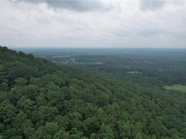0 Pine Tree Drive