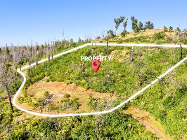 0 Pine Tree Ln, Berry Creek, CA 95916 | MLS #225081