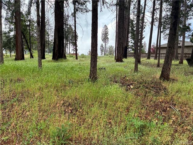 0 Pineland Circle