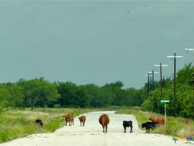 0 Pitchfork Ranch Road