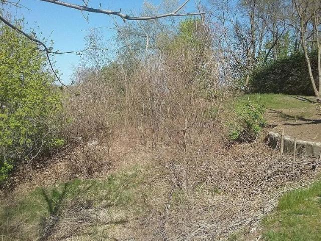 0 Plainfield Pike
