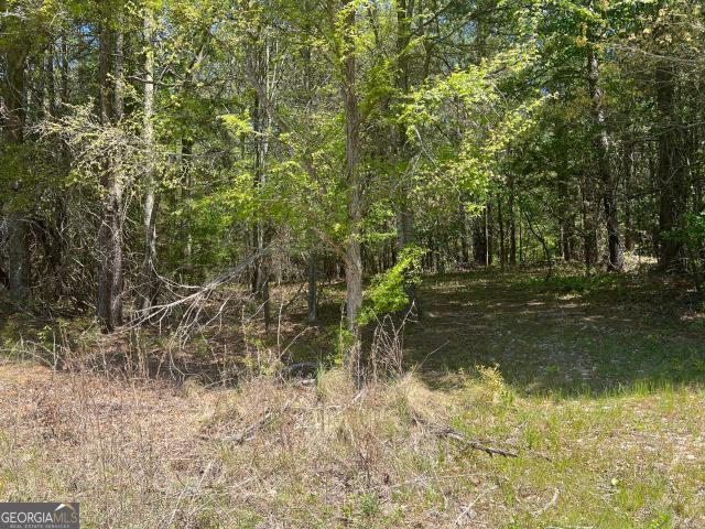 0 Plainview Rd, Maysville, GA 30558 | MLS #10729 | Compass