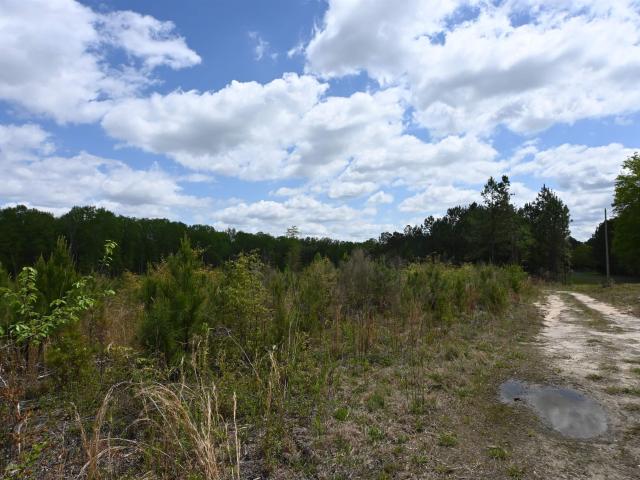 0 Platt Springs Road