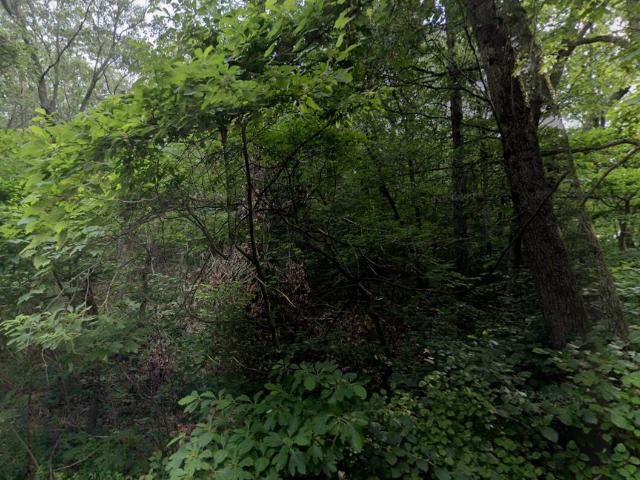 0 Pleasant Avenue
