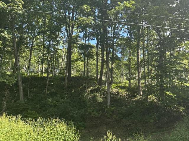 0 Pleasant Hill Road