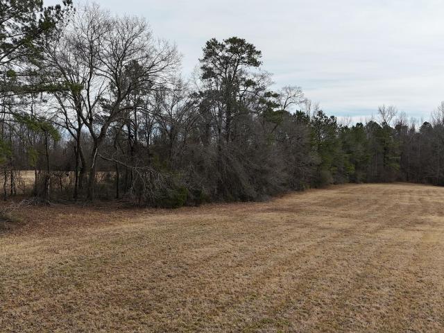 0 Pleasants Rd, Wendell, NC 27591 | MLS #10148