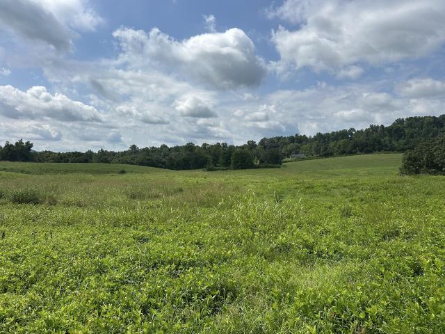 0 Plum Creek Rd