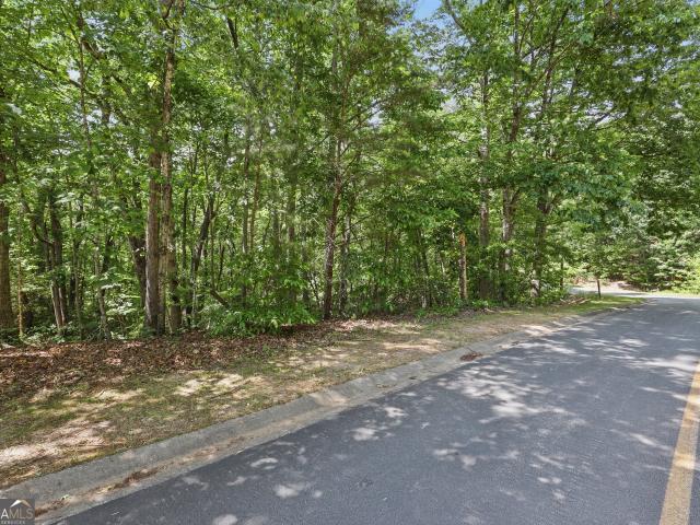 0 Plum Ln, Unit LT 53, Clarkesville, GA 30523 | MLS #10699 | Compass
