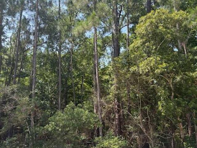 0 Poinsetta Loop, Pass Christian, MS 39571 | MLS #4115 | Compass