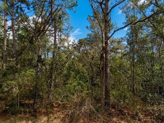 0 Pollard Road LOT A