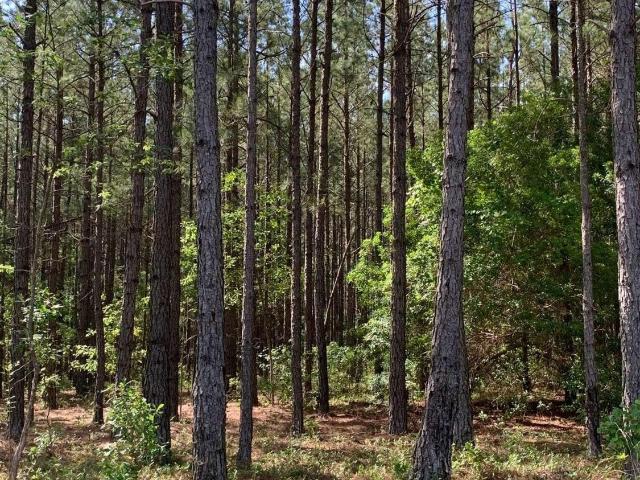 0 Pollett Road LOT 29
