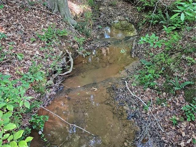 0 Ponderosa Trail