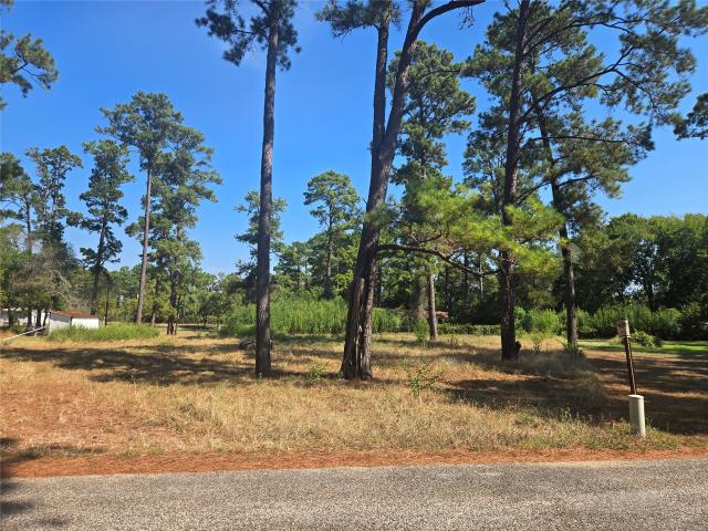 0 Ponderosa St, Bastrop, TX 78602 | Compass