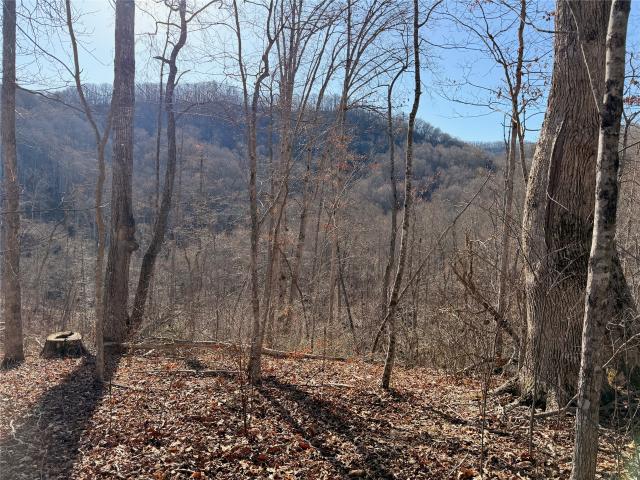 0 Posey Blanton Road