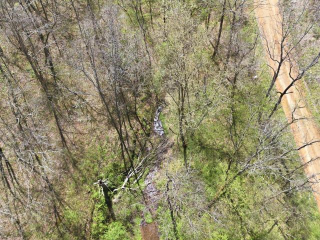 0 Possum Hollow Rd, Primm Springs, TN 38476 | MLS #3173