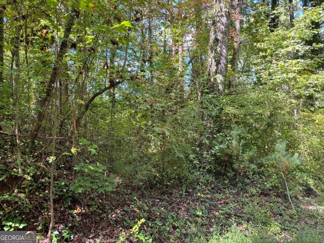 0 Post Oak St, Unit LOT 15, Clayton, GA 30525 | MLS #10620 | Compass