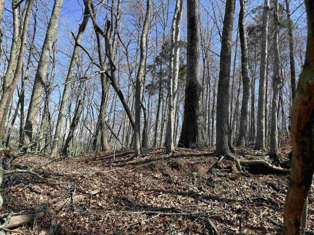 0 poplar springs rd