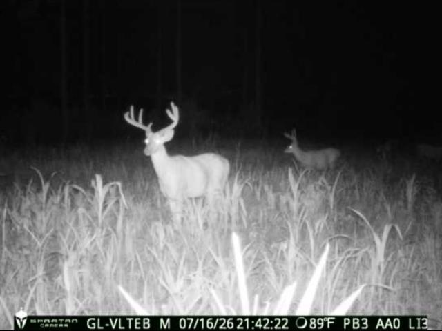 0 Poplar Springs Road