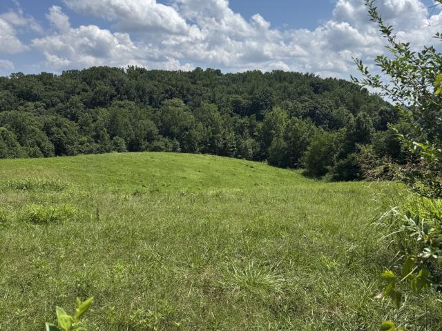 0 Potts Camp Rd