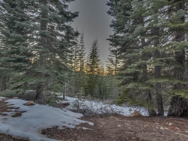 0 Prather Meadow Rd, Arnold, CA 95223 | MLS #225152
