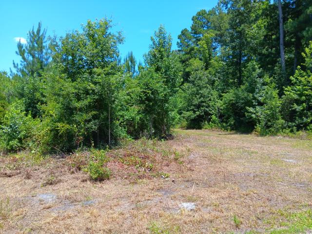 0 Primus Dr, St. George, SC 29477 | MLS #25013