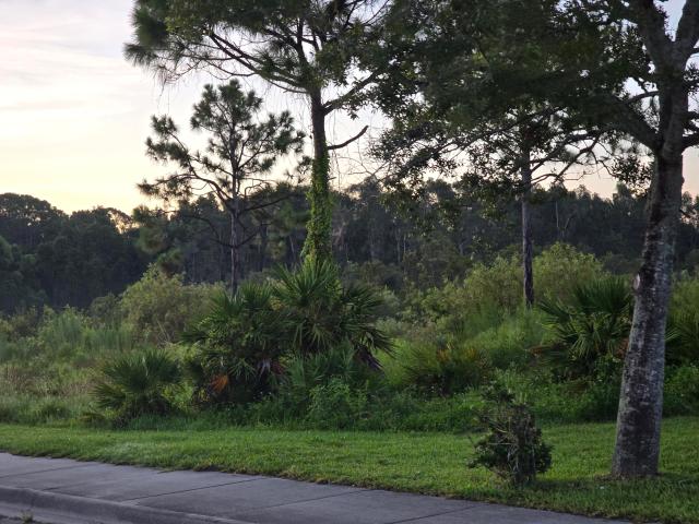 0 Prima Vista Blvd, Port St. Lucie, FL 34952 | MLS #R11107 | Compass