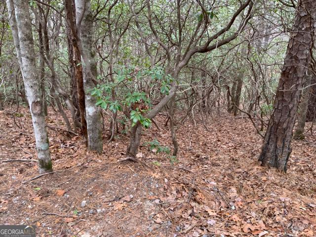 0 Prospectors Place