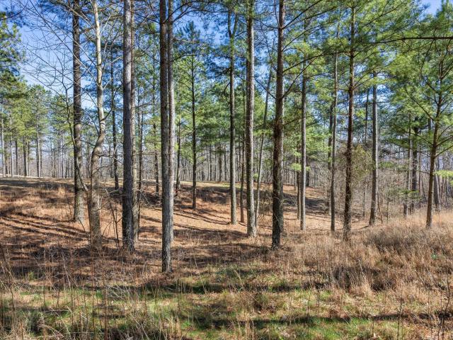 0 Prospectors Way