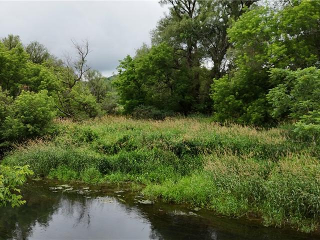 0 Rt 16, Franklinville, NY 14737 | MLS #R1697