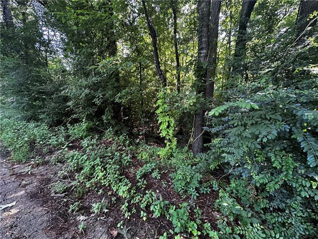 0 Rubin Dr, Pineville, LA 71360 | MLS #CN2540