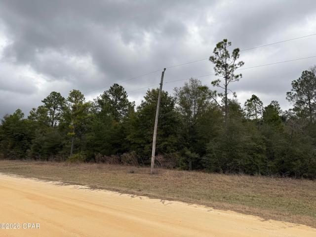 0 Russell Ave, Alford, FL 32420 | MLS #784377 | Compass