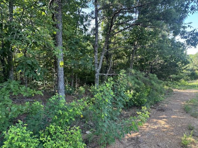 0 Rustic Pines Rd