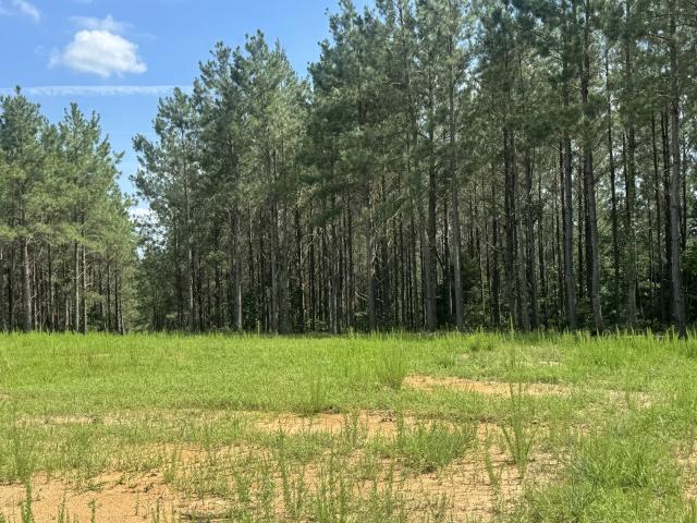0 Rustic Pines Rd