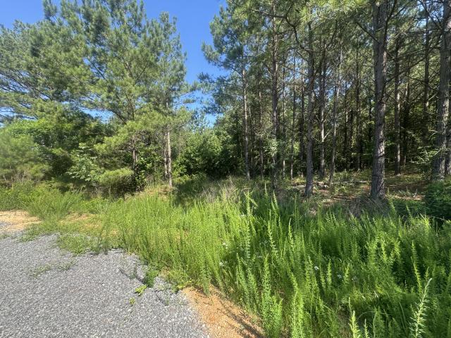 0 Rustic Pines Rd