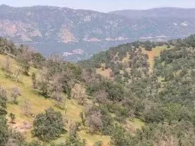 0 Ruth Hill Rd, Squaw Valley, CA 93675 656858424