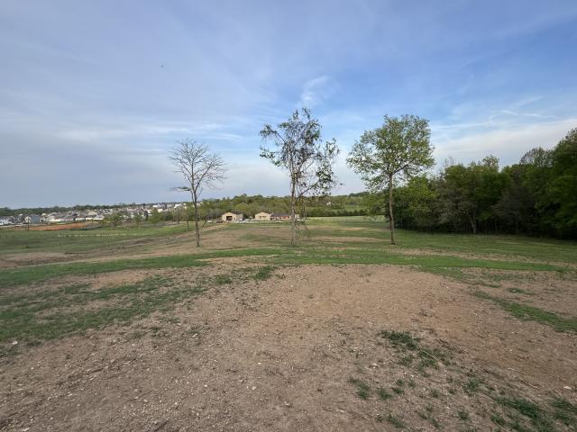 0 Rabbit Branch Rd