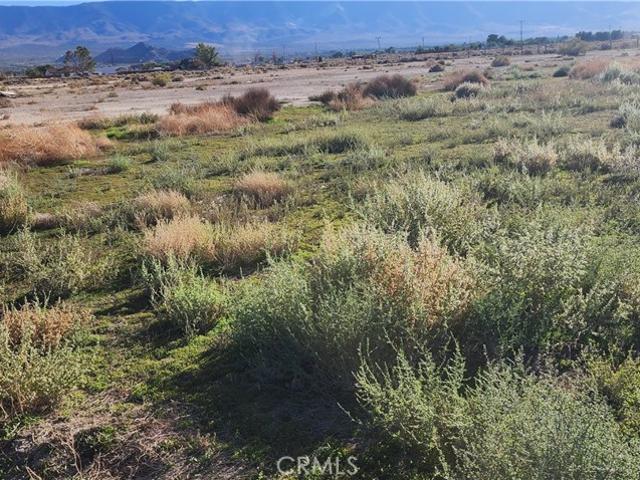 0 Rabbit Springs Road