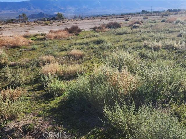 0 Rabbit Springs Road
