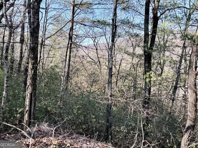 0 Rabun Bluffs Drive