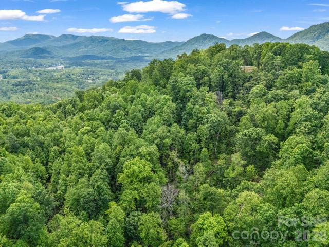 0 Ragans Point, Unit 31, Columbus, NC 28722 | MLS #4253