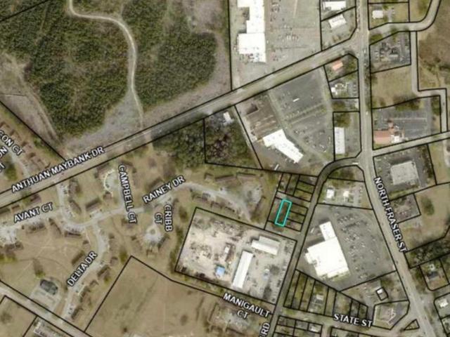 0 Rainey Dr, Georgetown, SC 29440 | MLS #2509