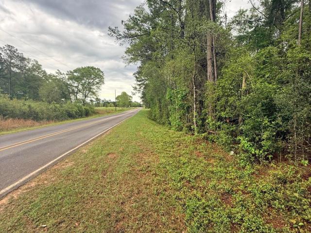 0 Rainey Rd, Moselle, MS 39459 | MLS #4144 | Compass