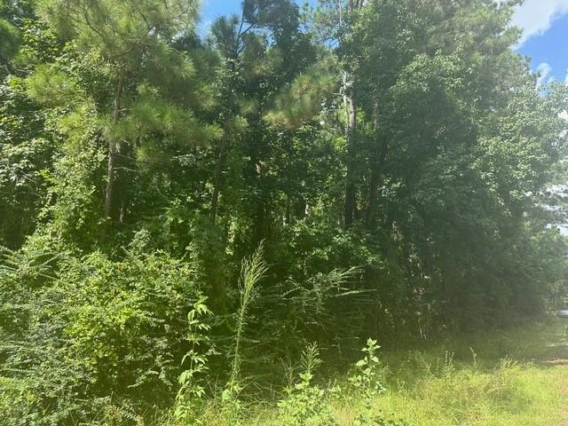 0 Ramblewood Dr, Magnolia, TX 77354 | MLS #95087