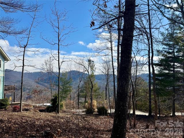 0 Rambling Ridge Rd, Unit 16, Asheville, NC 28804 | MLS #4352