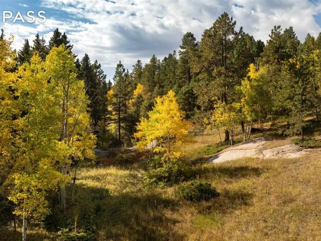 0 Rampart Range Rd, Sedalia, CO