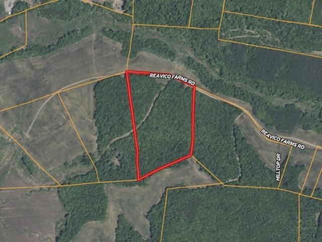 0 Reavico Farm Road # 3